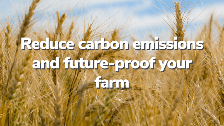 Reduce carbon emissions and future-proof your farm - Zylem Reduce carbon emissions and future-proof your farm - Zylem